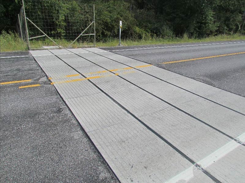 WiLDLiVE | Solutions